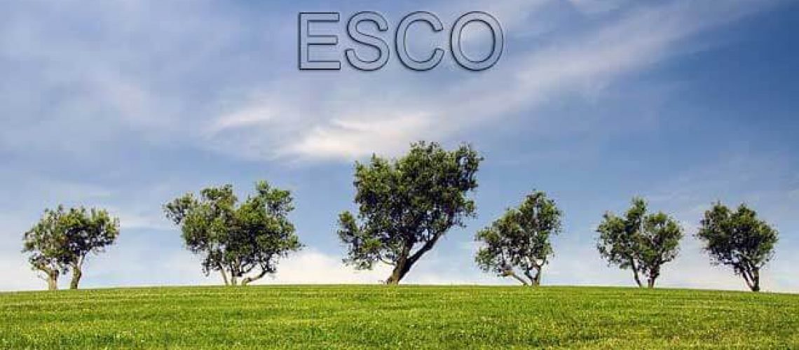 What are ESCOs and How Can They Help You? - Green Light National